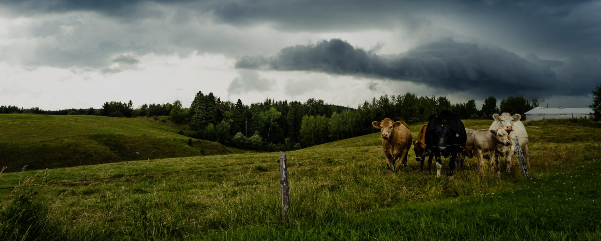 Accueil - Zone boréale