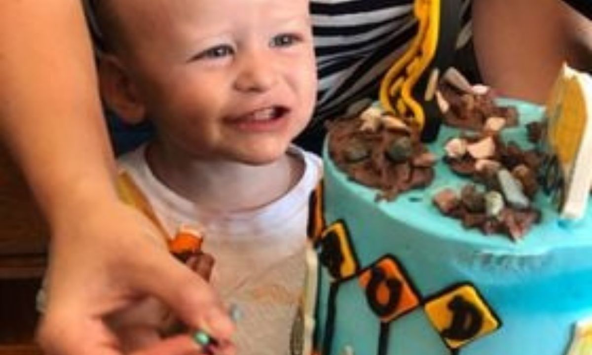 Les Gâteaux Jul'imagine - Zone boréale