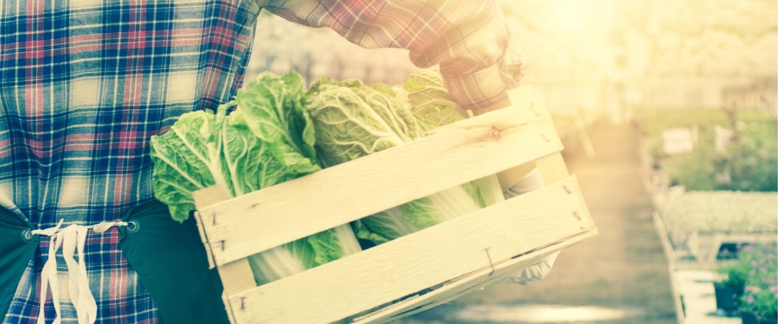 Colabor - Zone boréale