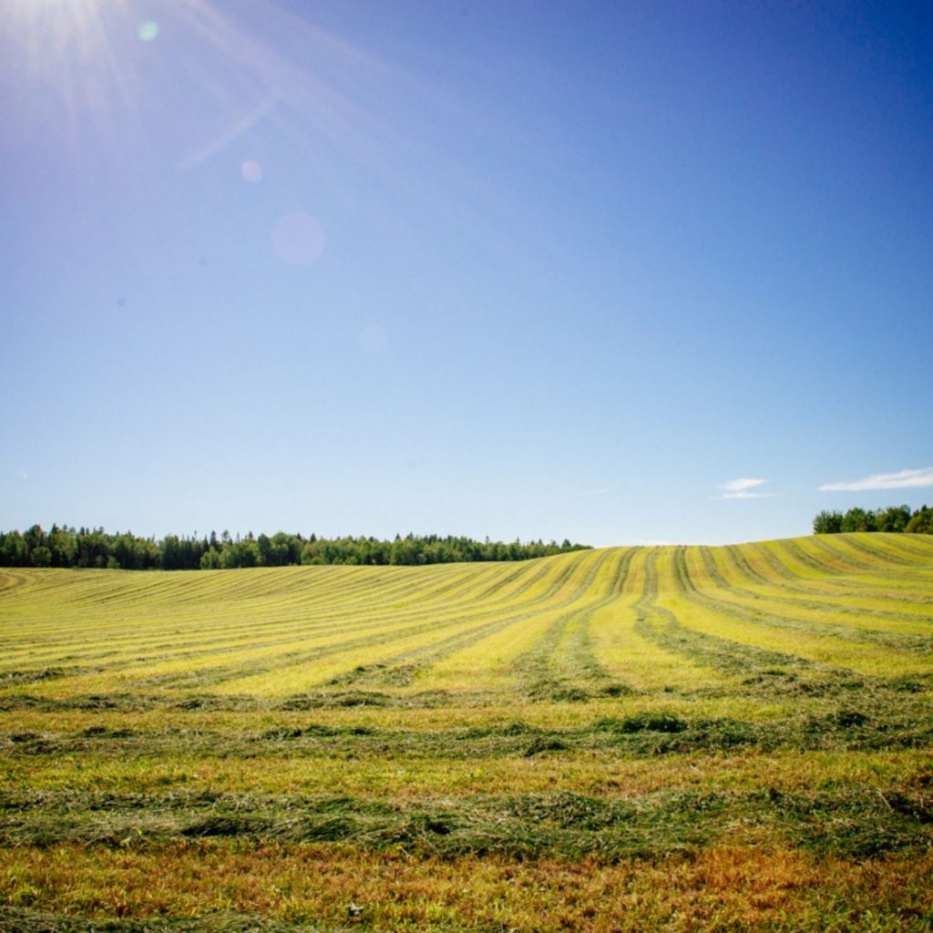 Explorer par territoire - Zone boréale